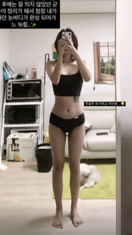 다이어트한 스타들 | `故최진실 딸` 최준희, 44kg 감량후..배에 `튼살` 자글자글 `포기했다` : ZUM 뉴스