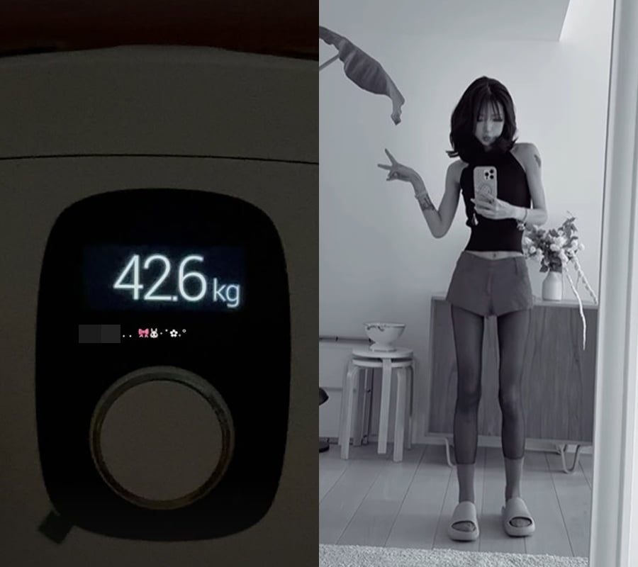 다이어트한 스타들 | 가시 같은 몸 원했던 최준희, 끝내 `170cm 42kg` 만들었다…여전히 감량중 : ZUM 뉴스