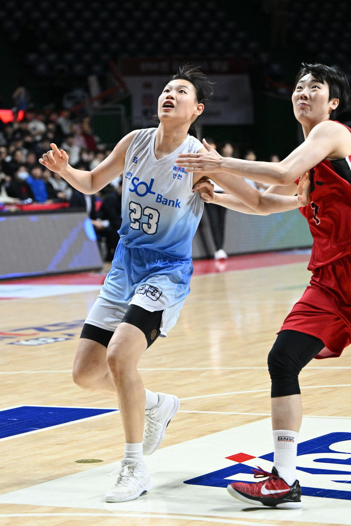 WKBL 여자 프로농구 | 여자농구 신한은행, BNK에 84-54 대승…유종의 미 거둬 : ZUM 뉴스